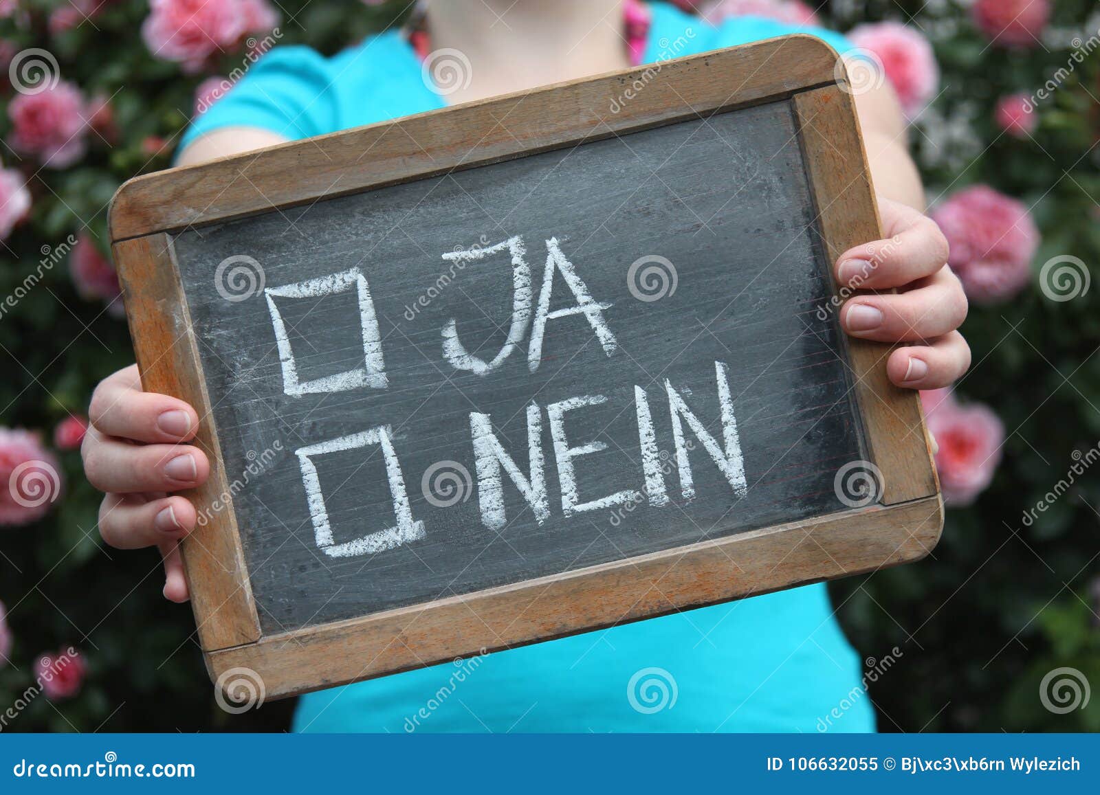 JA/NEIN stock afbeelding. Image of wijfje, informatie - 106632055