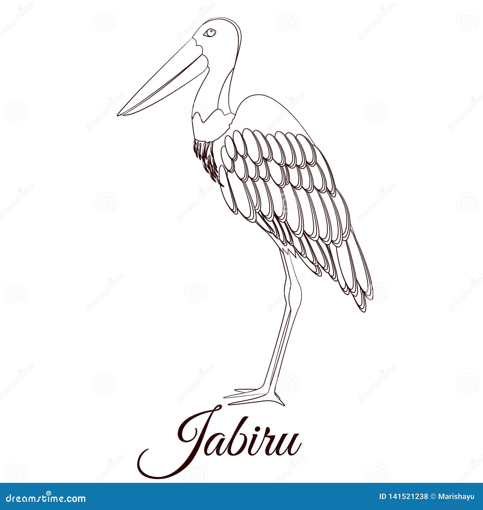 Jabiru Stork Cartoon Bird Coloring Vector Illustration | CartoonDealer ...