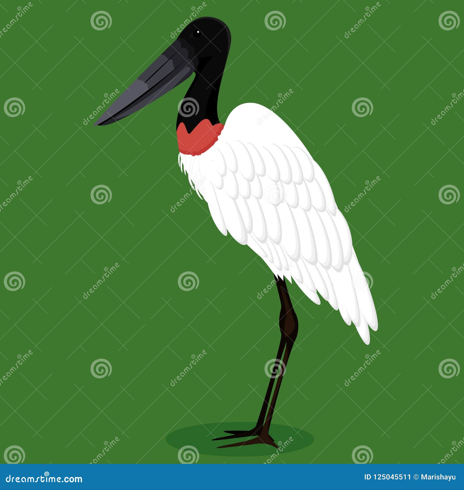 Jabiru stork cartoon bird stock vector. Illustration of bird - 125045511