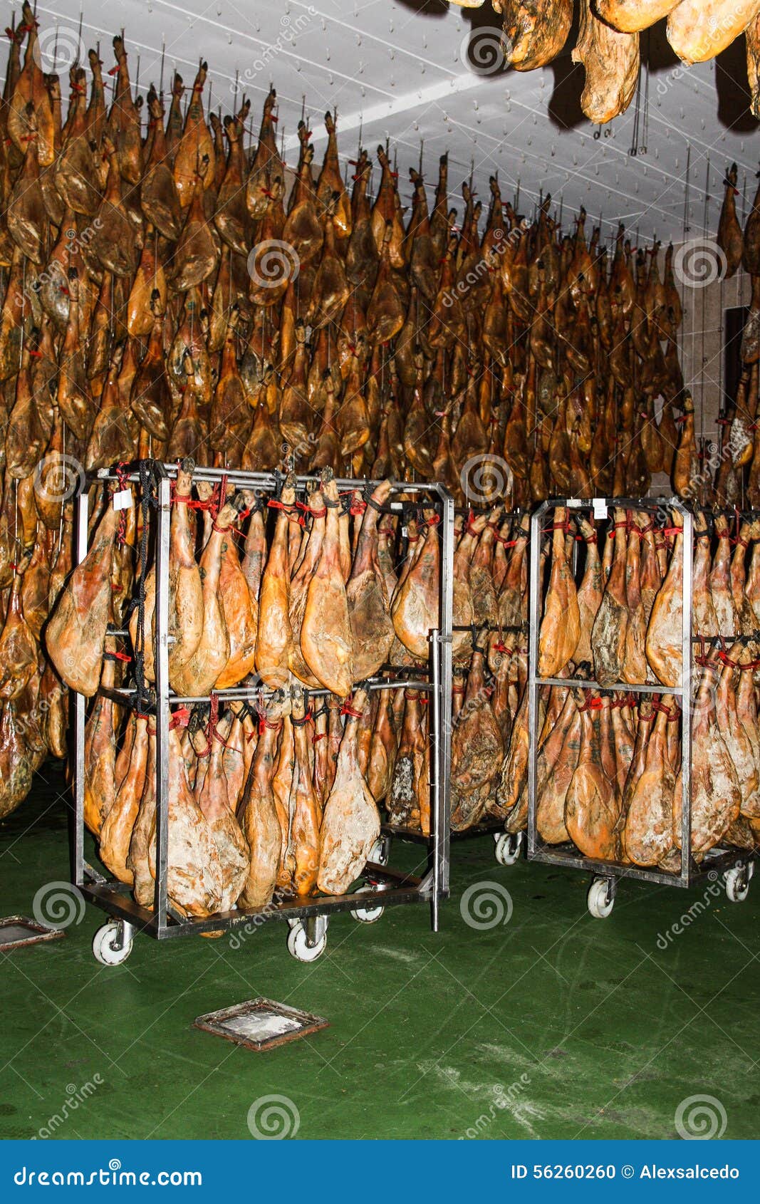 Jabugo cellar stock photo. Image of cellar, great, spanish - 56260260