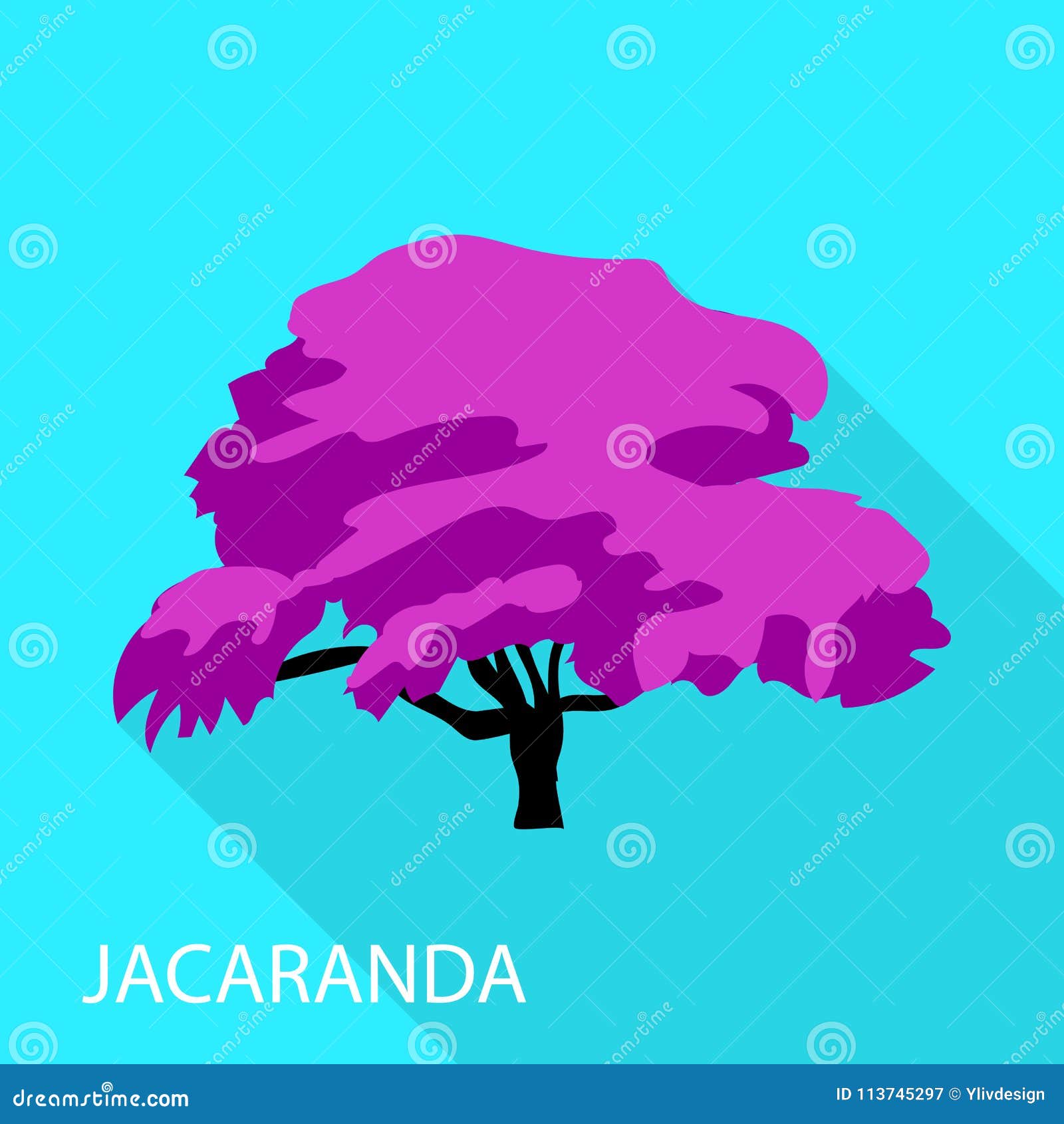 Jacaranda Blossom Tree Illustration Royalty-Free Cartoon ...