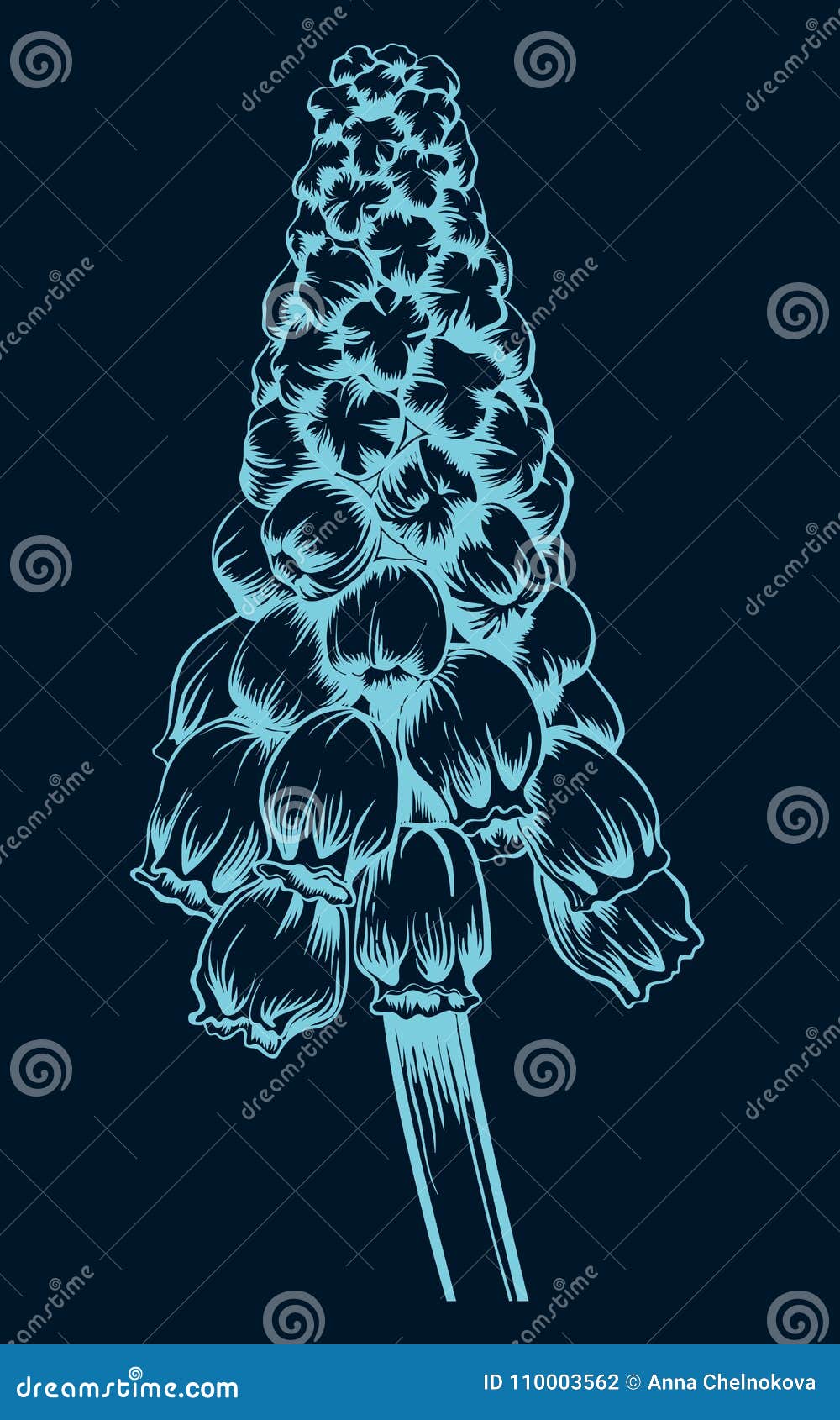 Jacinto coloreado vector ilustración del vector. Ilustración de ...