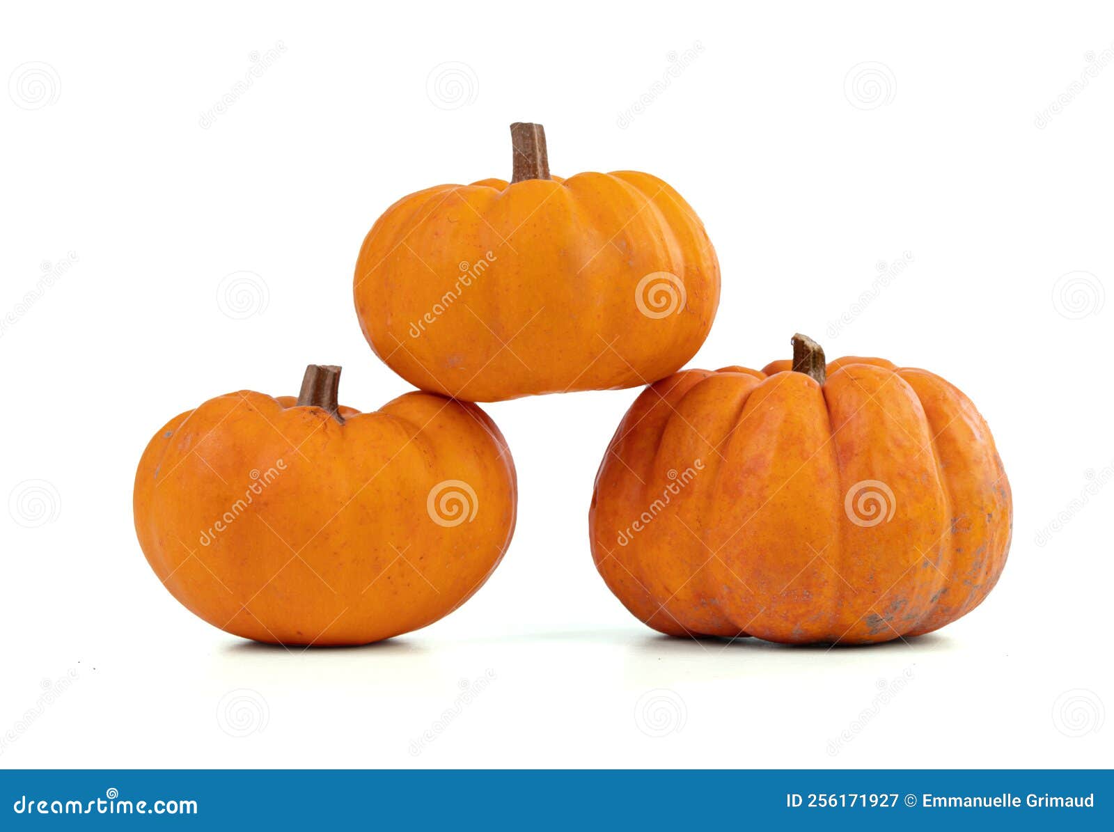 Jack Be Little, Orange Squash Stock Image - Image of vegan, food: 256171927