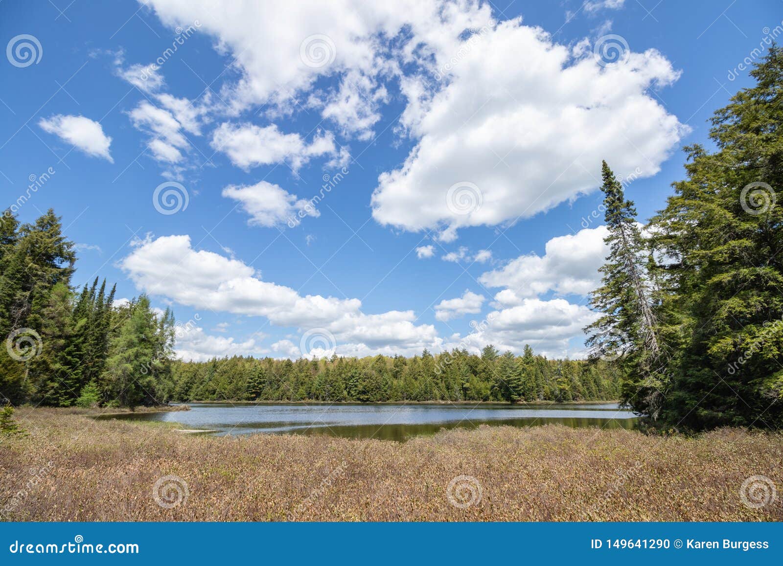 Springtime Landscape at Jack Lake in Algonquin Park Stock Photo - Image ...