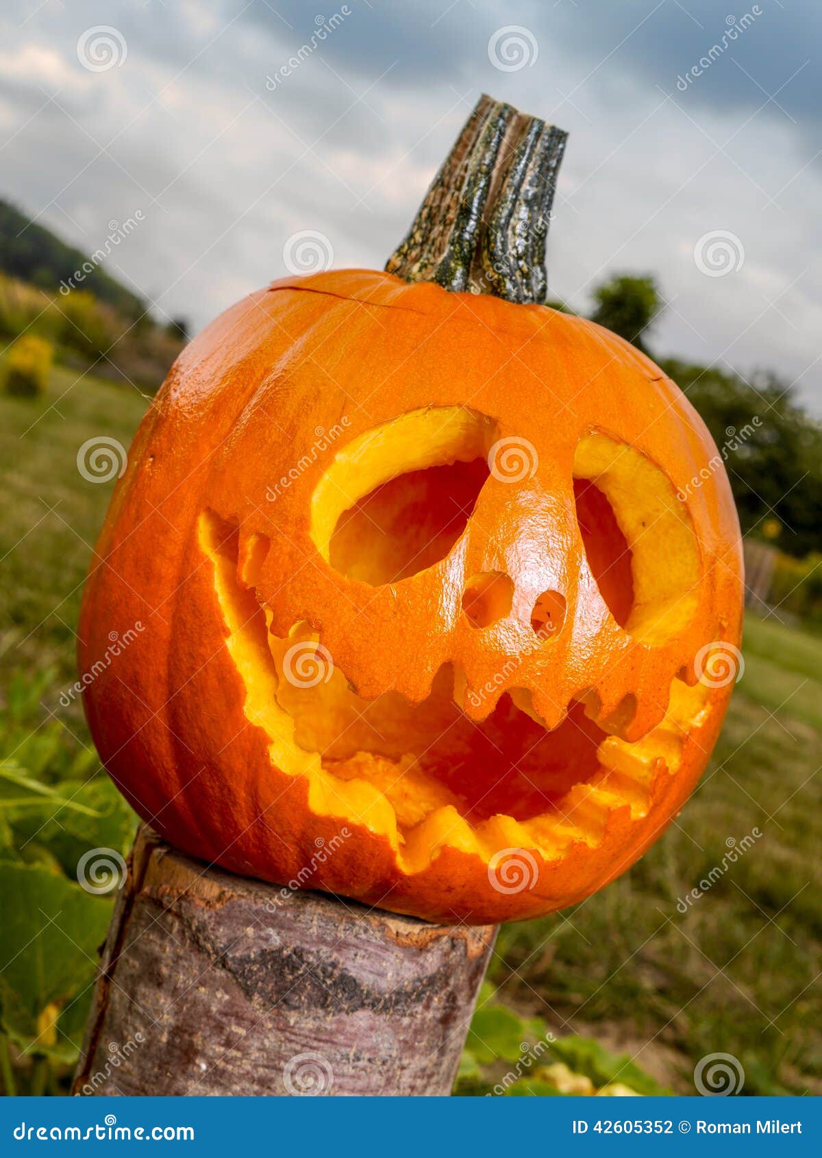 Jack-o-lantern pumpkin stock photo. Image of carve, pumpkin - 42605352