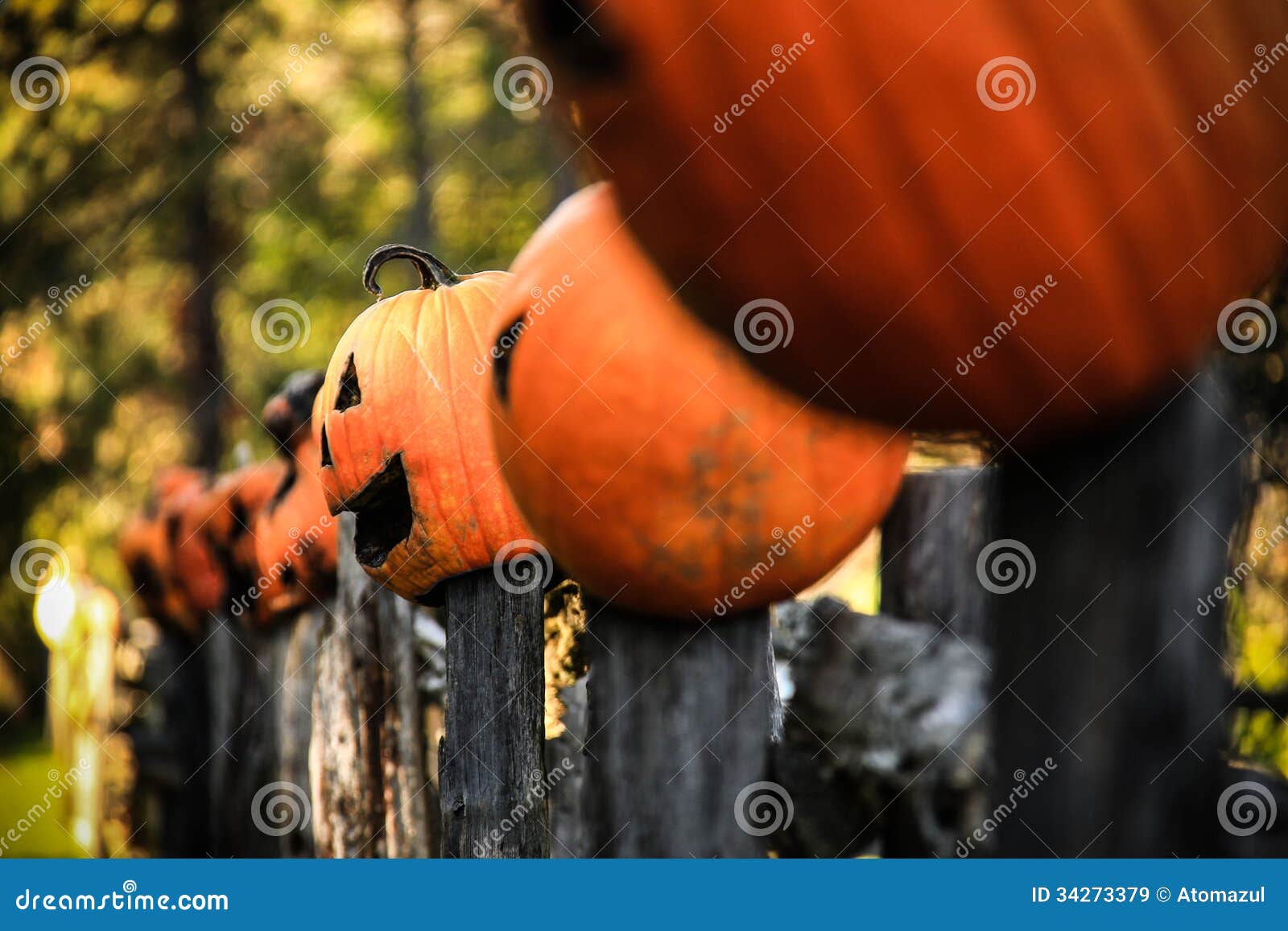 Jack O Lanterns Fence Stock Image Image Of Country Rotten 34273379