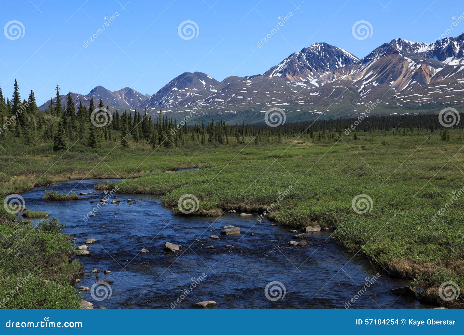 Jack River stock photo. Image of nature, blue, alaska - 57104254