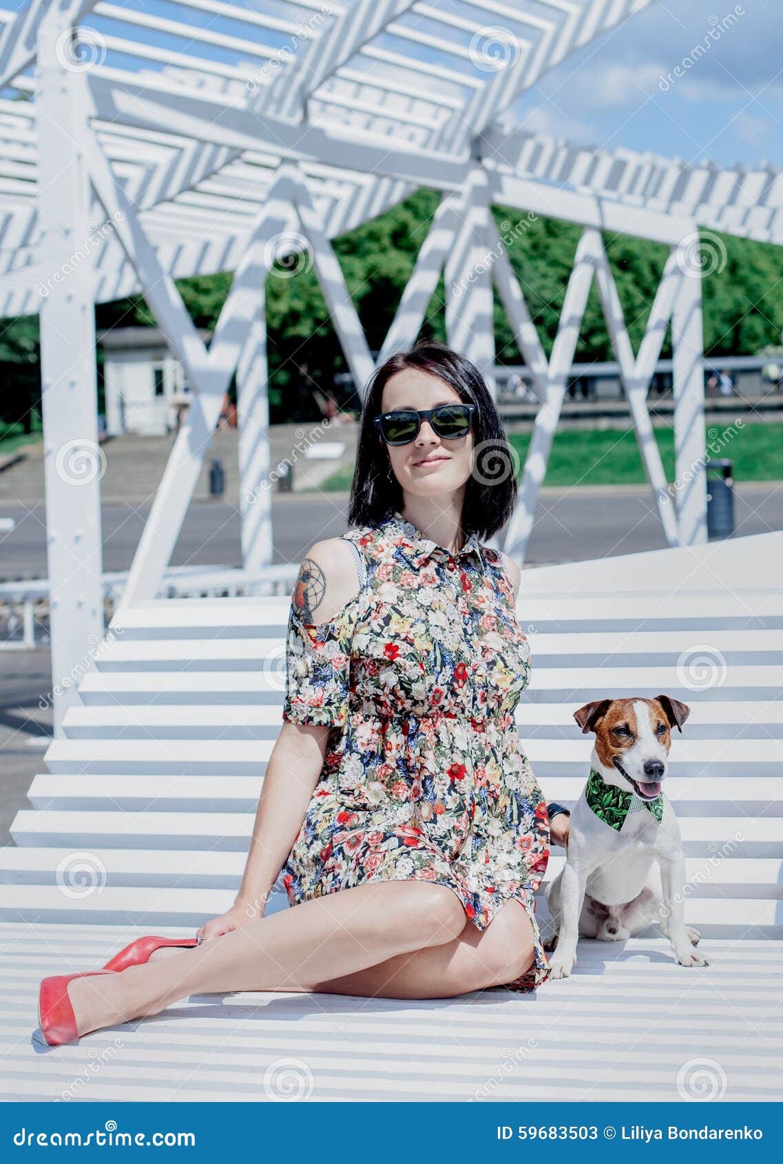 Jack Russell Terrier with Beautiful Woman Stock Image - Image of ...