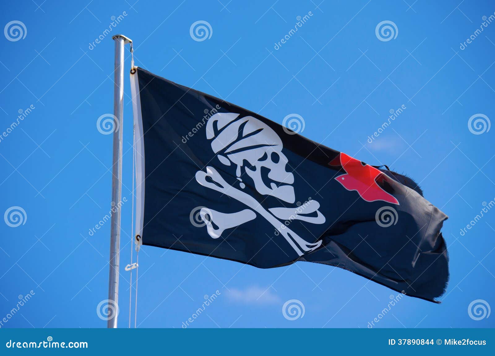 Jack Sparrow Flag Jolly Roger Skull Crossbones Stock Images - Image ...