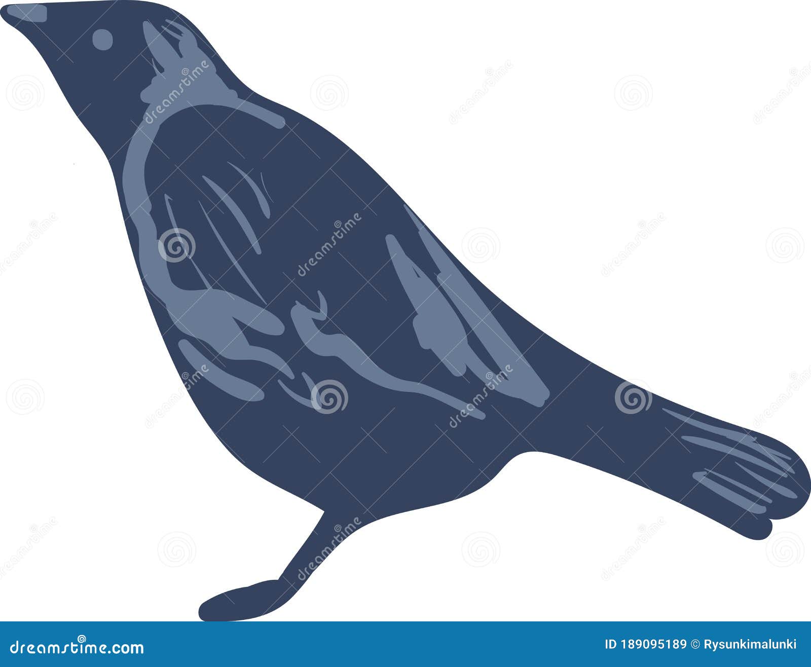 Print Jackdaw Bird Line Art Vector Illustrations Collection Detailed ...