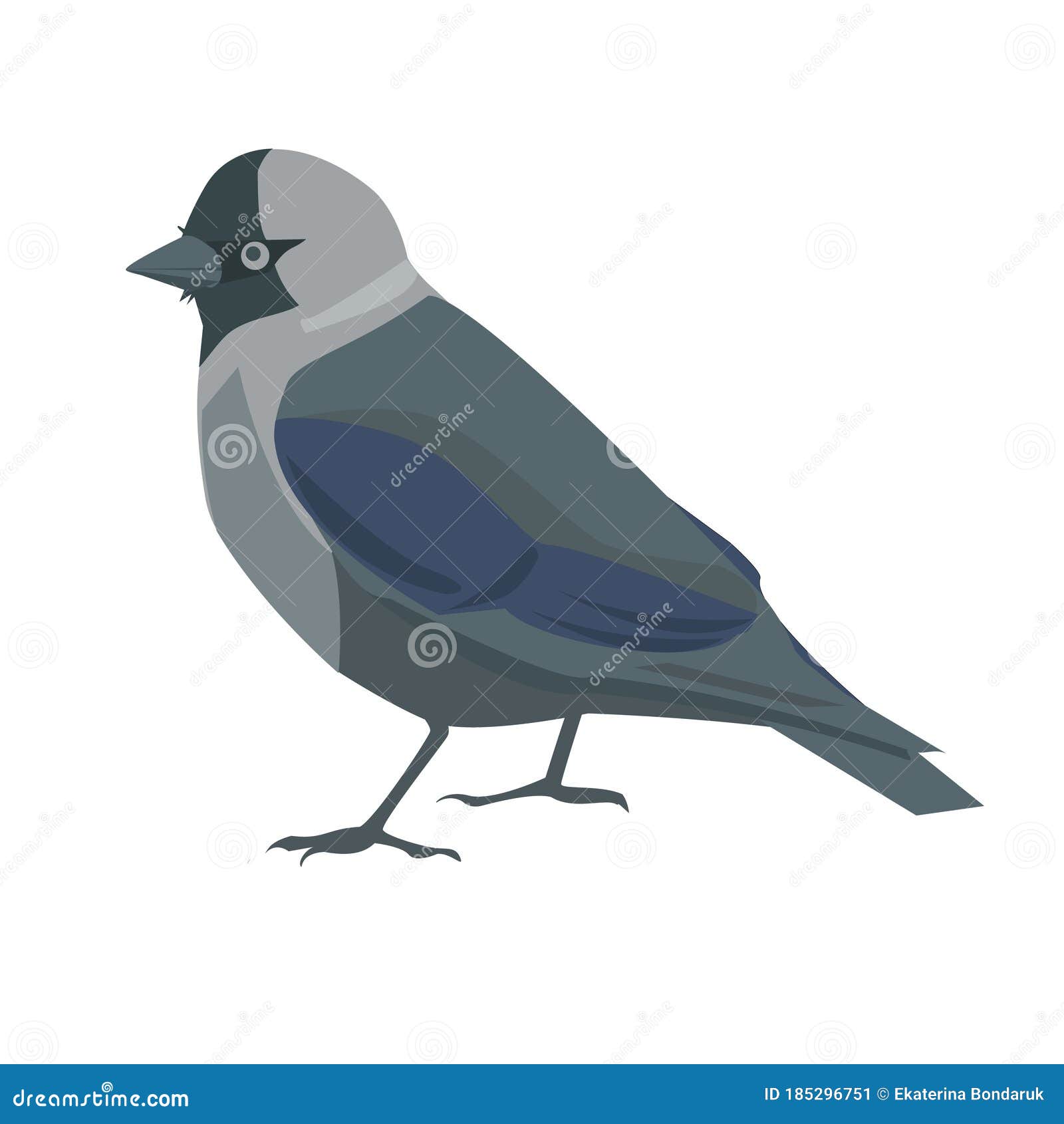 Jackdaw bird. stock vector. Illustration of design, tail - 185296751