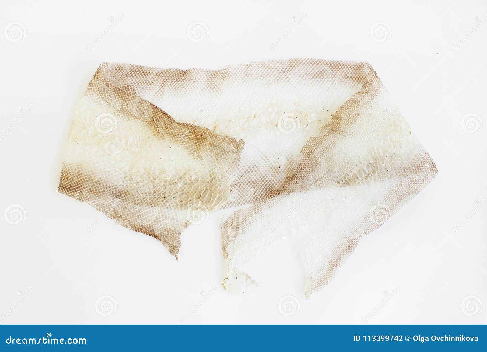 Jacket Cast-off Skin Of Snake Royal Python On A White Background. Stock ...