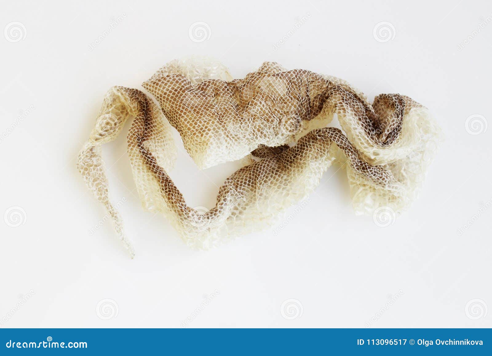 Jacket Cast-off Skin Of Snake Royal Python On A White Background. Stock ...