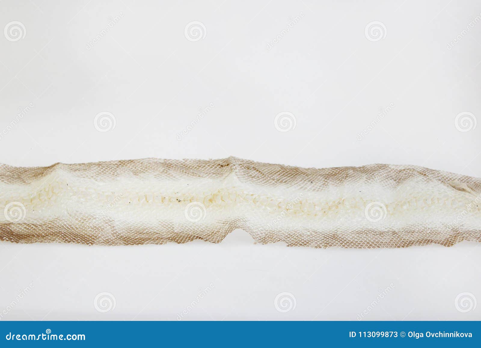 Jacket Cast-off Skin Of Snake Royal Python On A White Background. Stock ...
