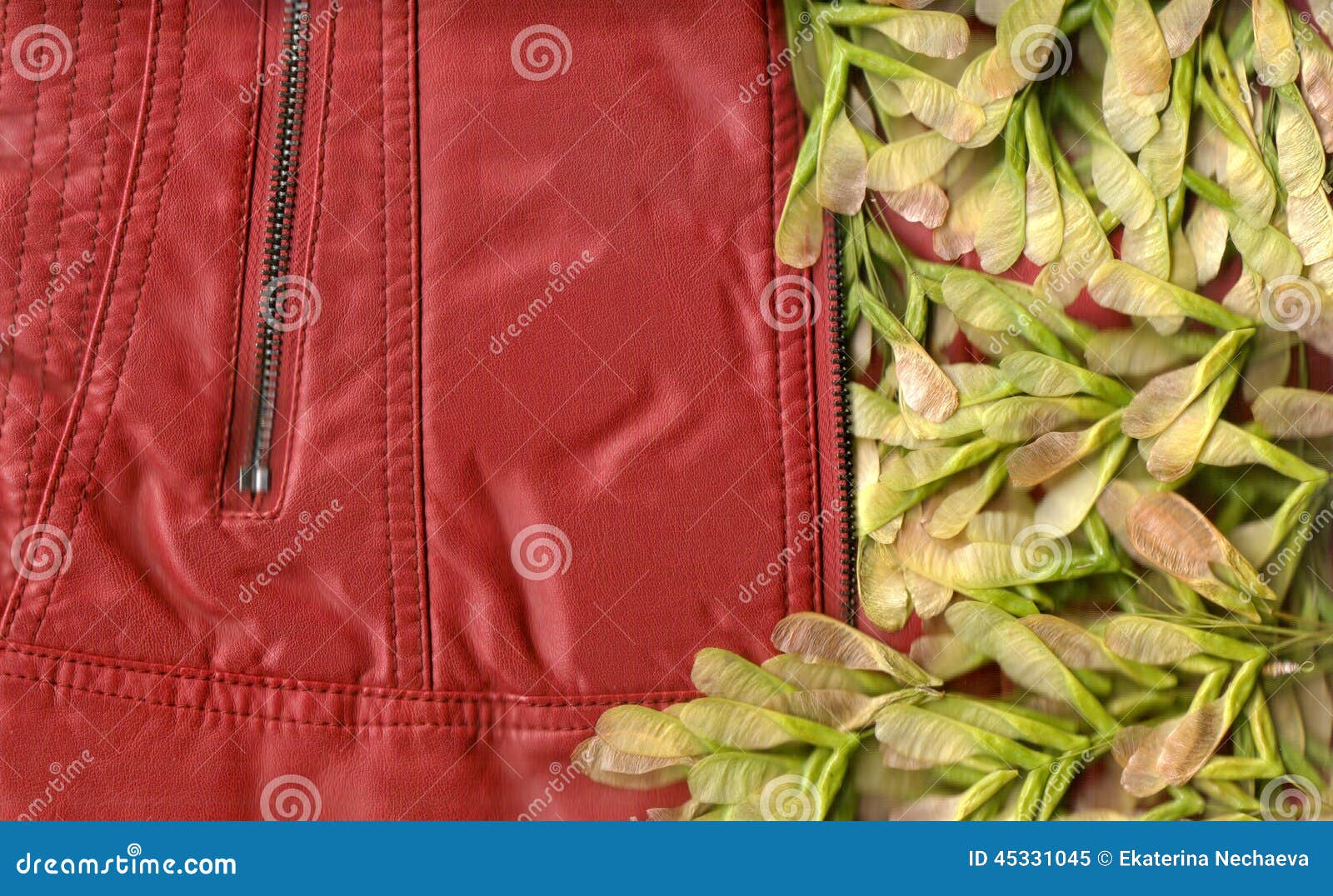 Jacket and plants stock image. Image of fall, heat, leather - 45331045