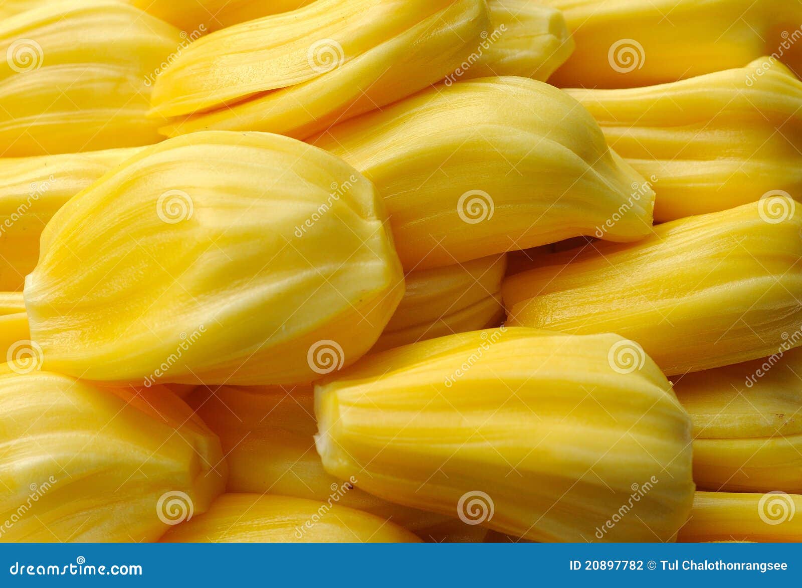 Jackfruit stock photo. Image of healthy, health, fresh - 20897782