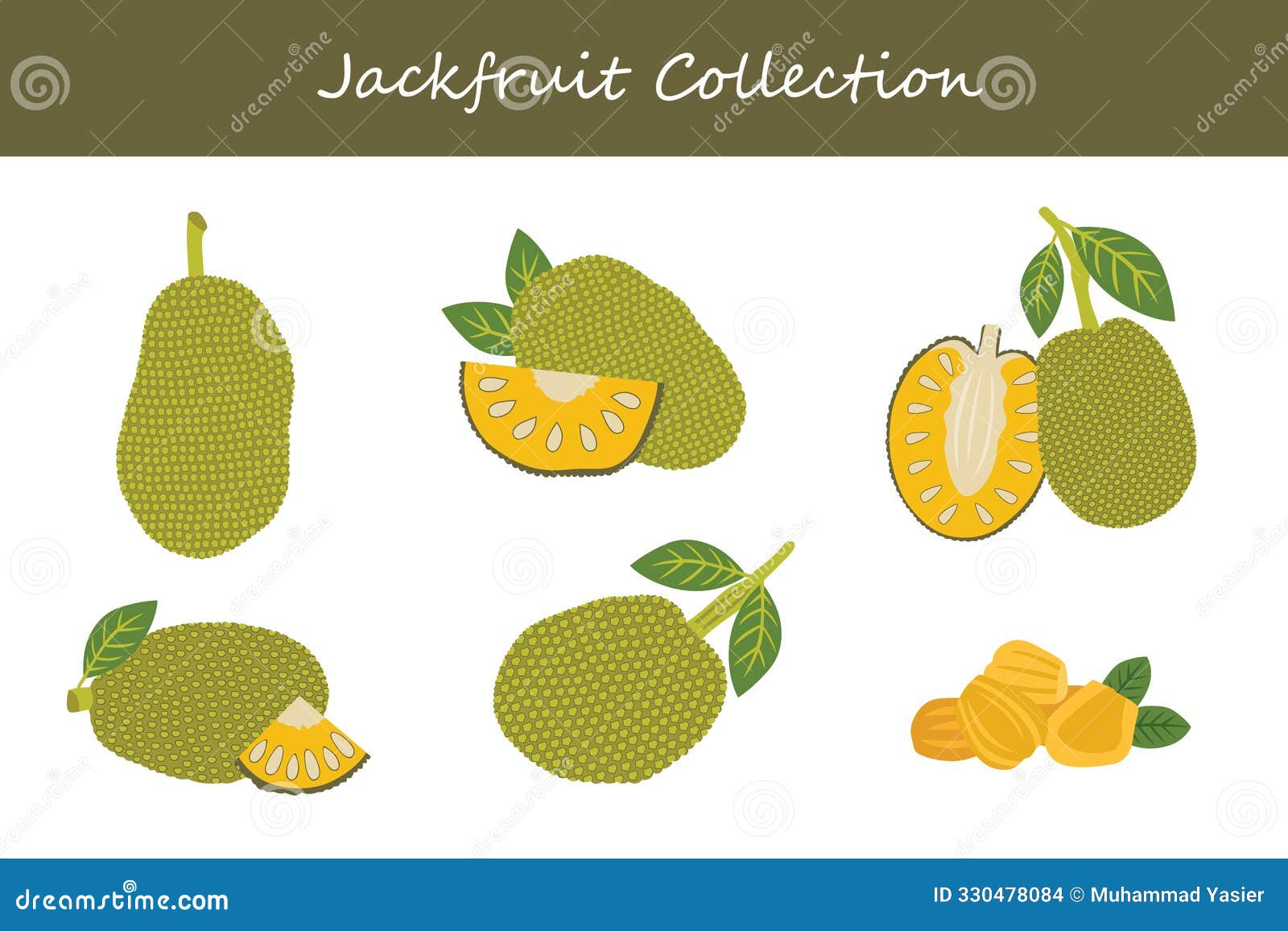 Jackfruit Collection. Jackfruit in Different Poses. Vector Illustration ...