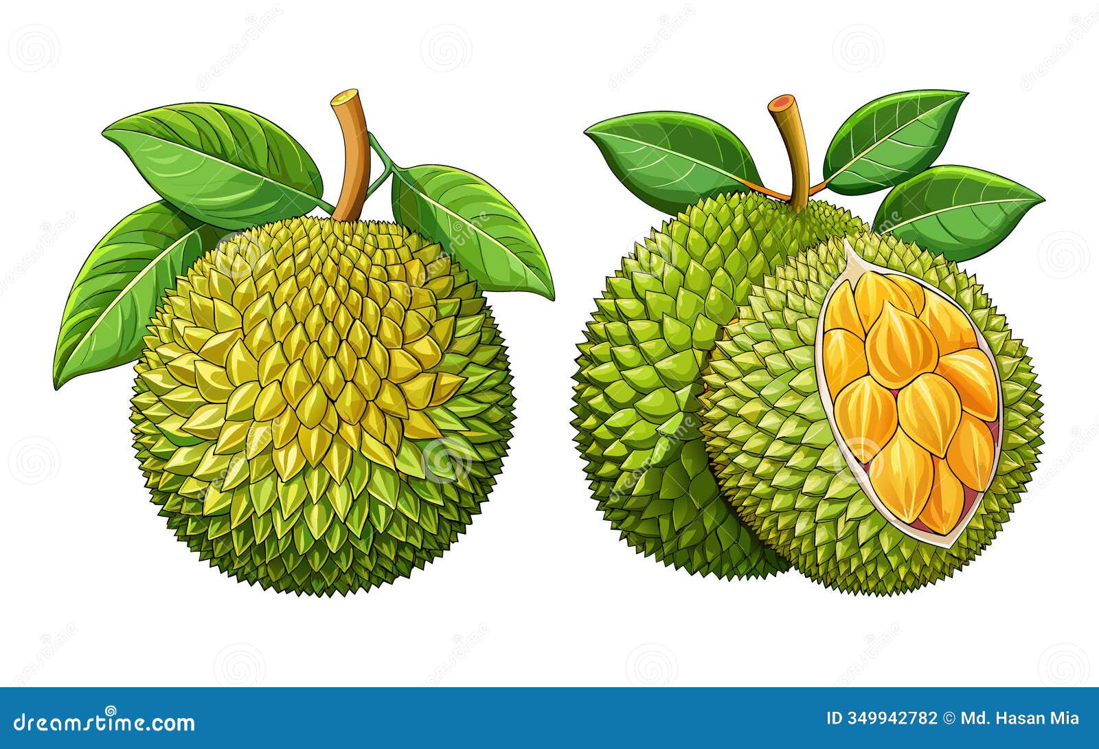Jackfruit 3d Vector Sticker Design Stock Illustration - Illustration of ...