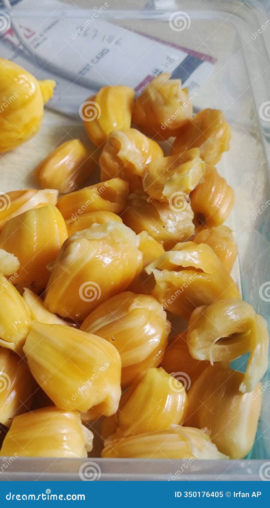 Jackfruit Delicious Farm Mini Indonesia Stock Image - Image of ...