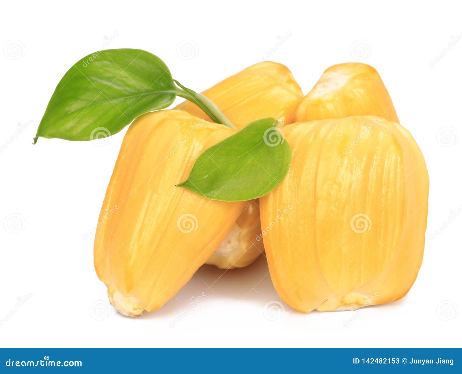 Jackfruit Green Leaves Background.leaf Texture Royalty-Free Stock Image ...