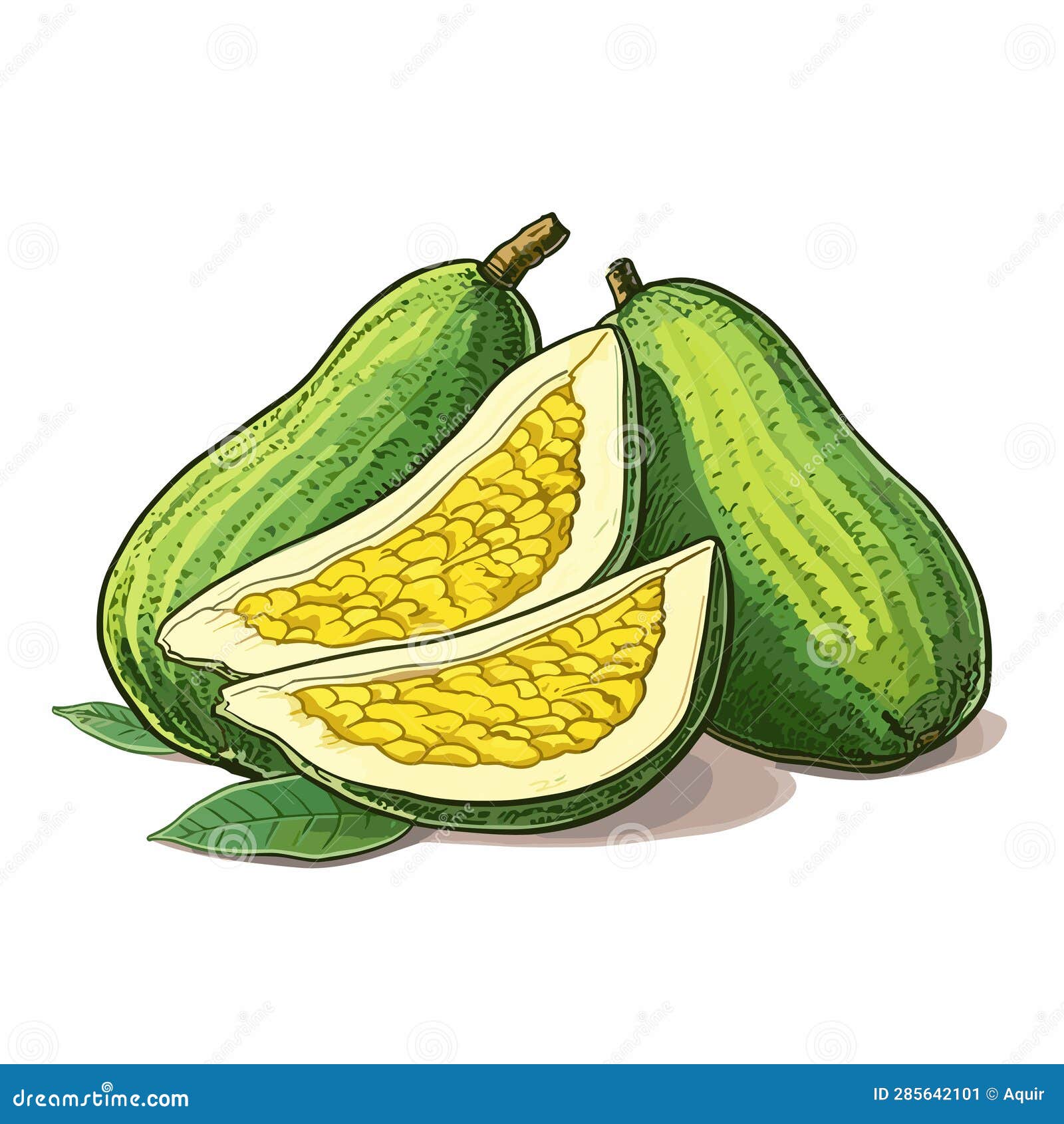 Jackfruit Hand-drawn Illustration. Jackfruit. Vector Doodle Style ...
