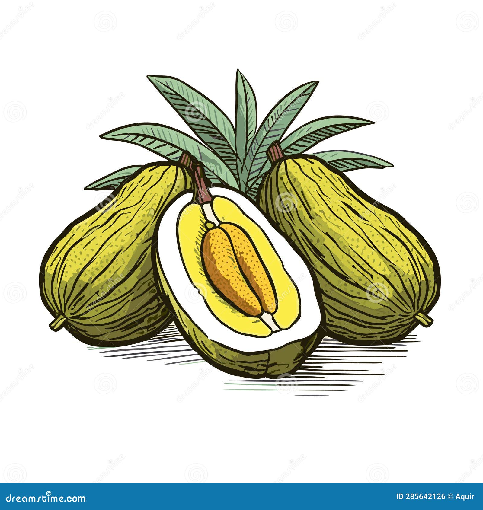 Jackfruit Hand-drawn Illustration. Jackfruit. Vector Doodle Style ...