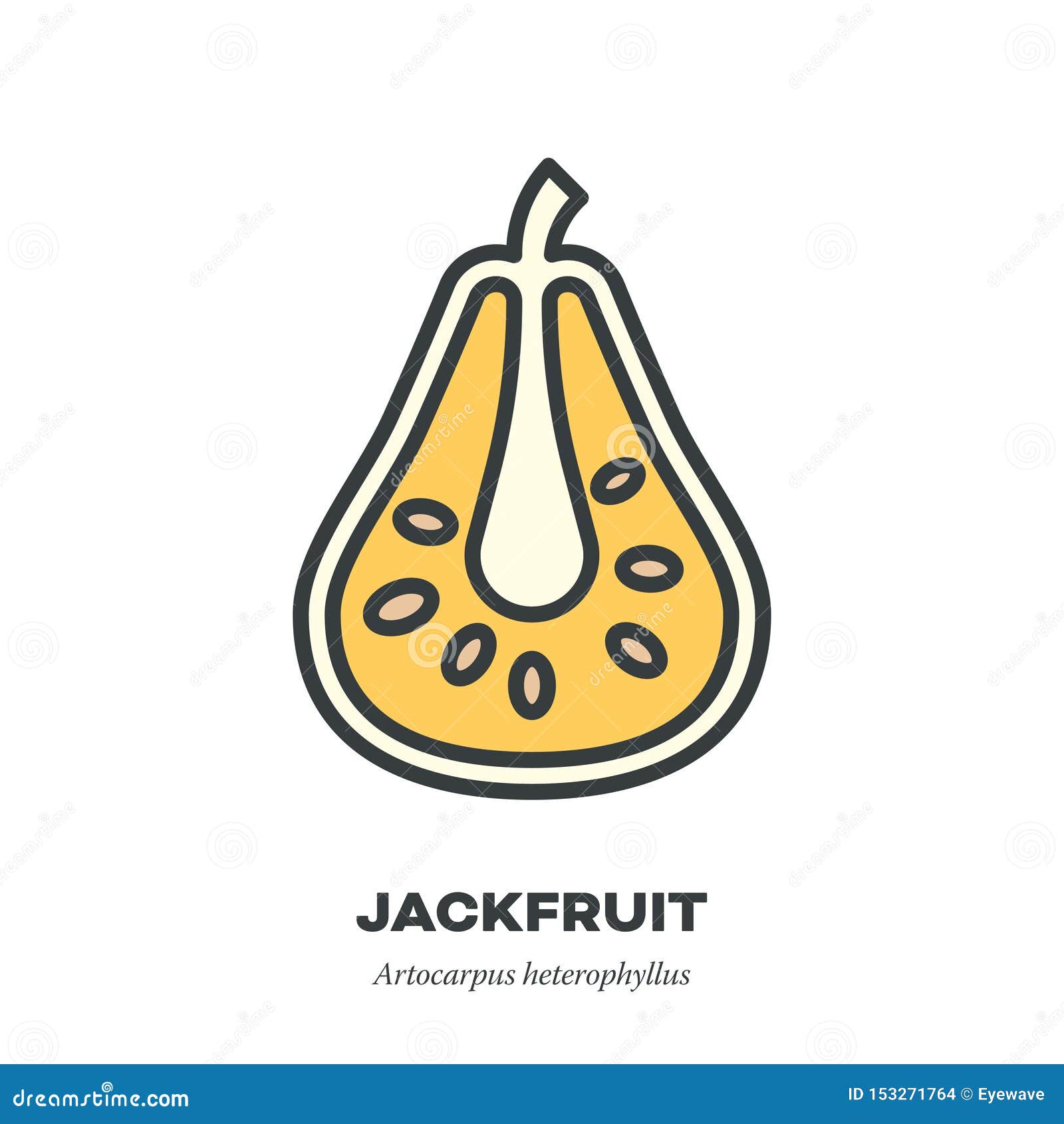 Jackfruit Icon, Filled Outline Style Vector Stock Vector - Illustration ...