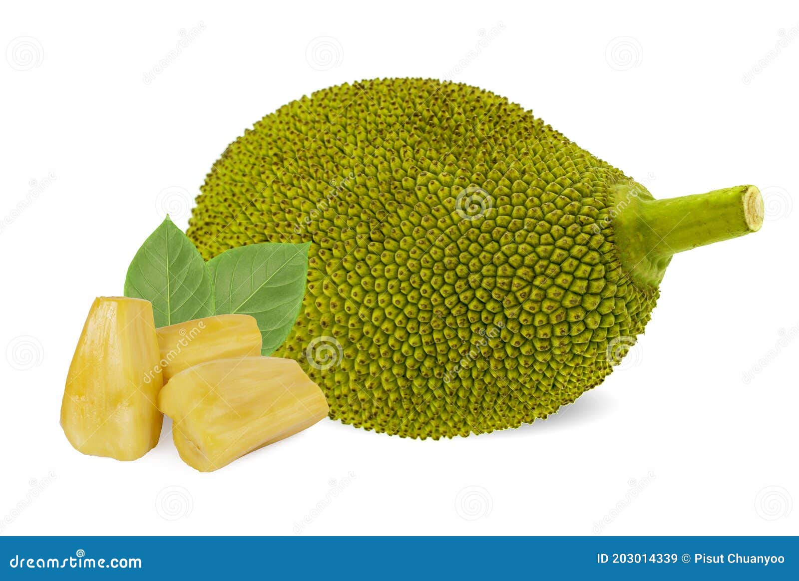 Jackfruit Isolated on White Background Stock Image - Image of picking ...