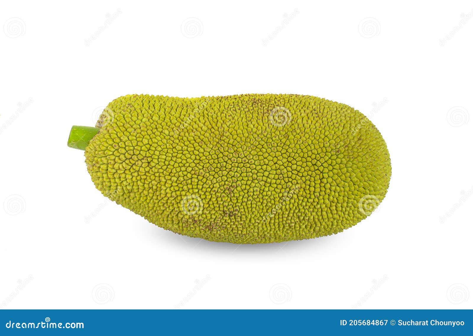 Jackfruit an Isolated on White Background Stock Image - Image of ...