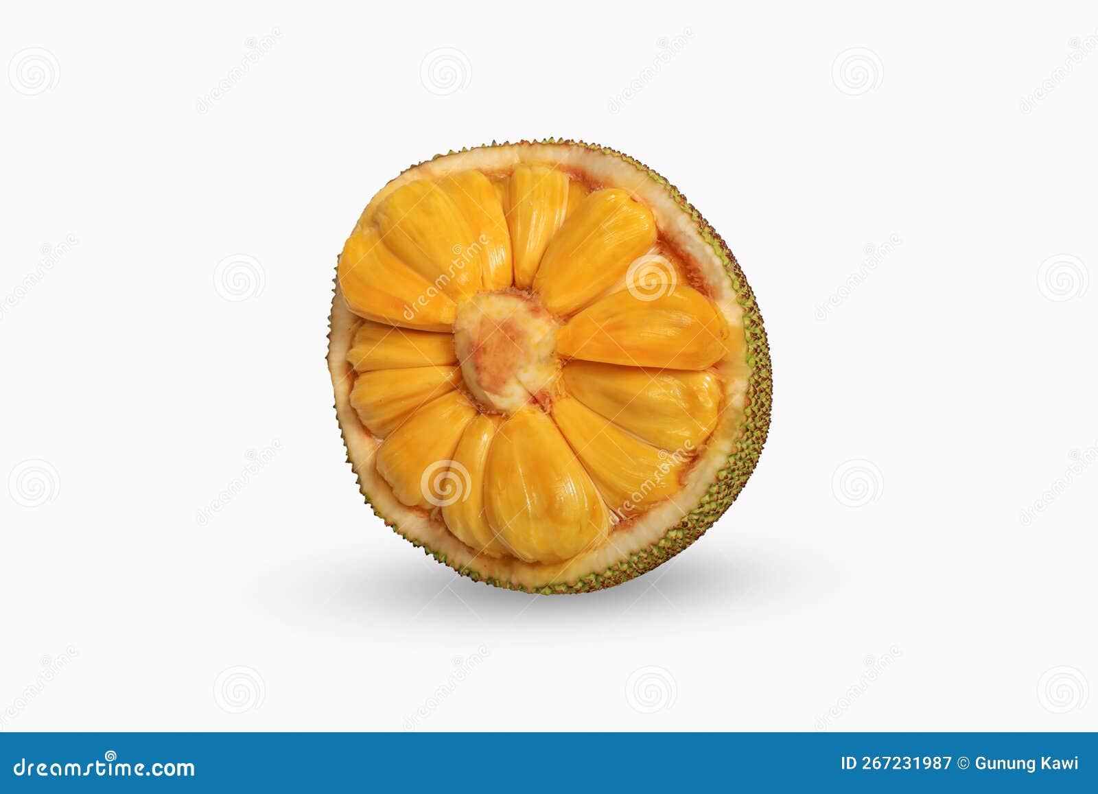 Jackfruit with Isolated on White Background Stock Image - Image of ...