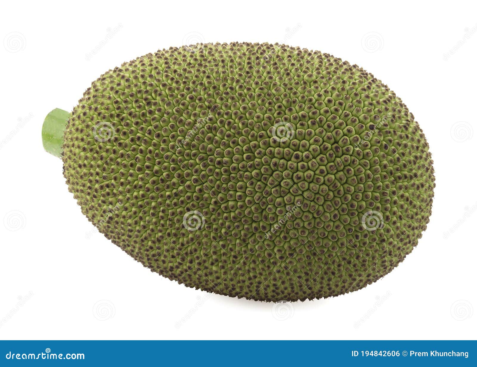 Jackfruit Isolated on White Background Stock Photo - Image of thailand ...