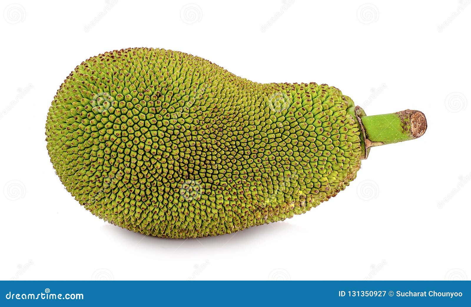 Jackfruit Isolated on White Background Stock Image - Image of farming ...
