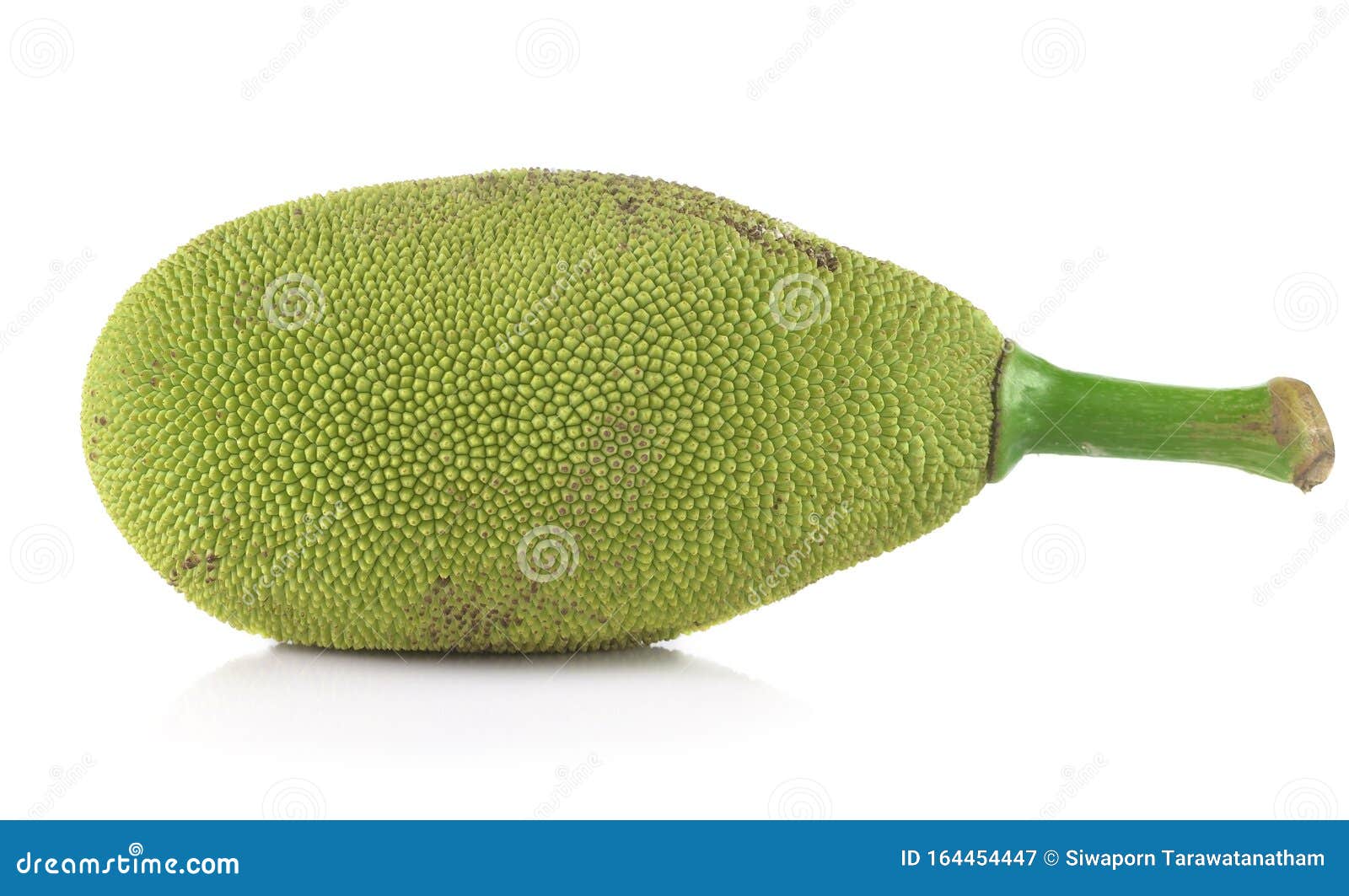 Jackfruit Isolated on White Background Stock Image - Image of fruit ...