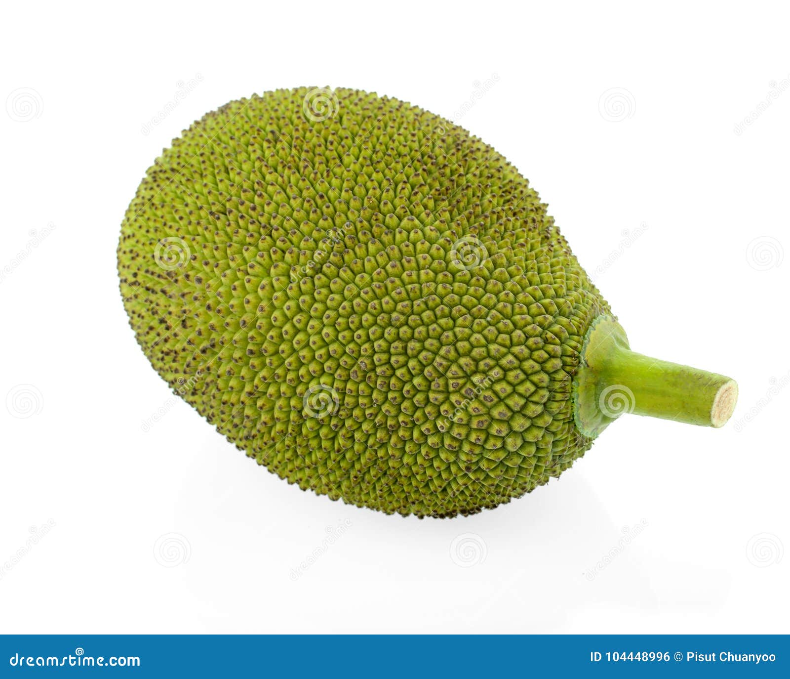 Jackfruit Isolated on White Background Stock Photo - Image of kanun ...