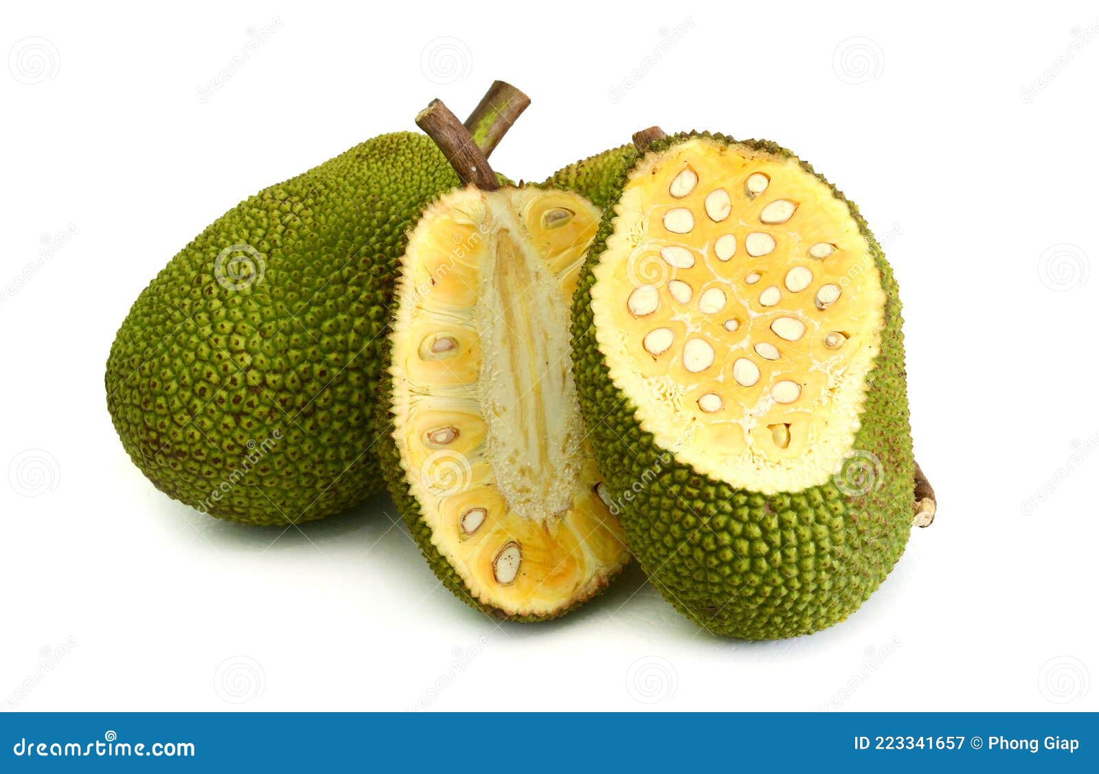 Jackfruit Texture And Seamless Stone Pattern Cartoon Vector ...