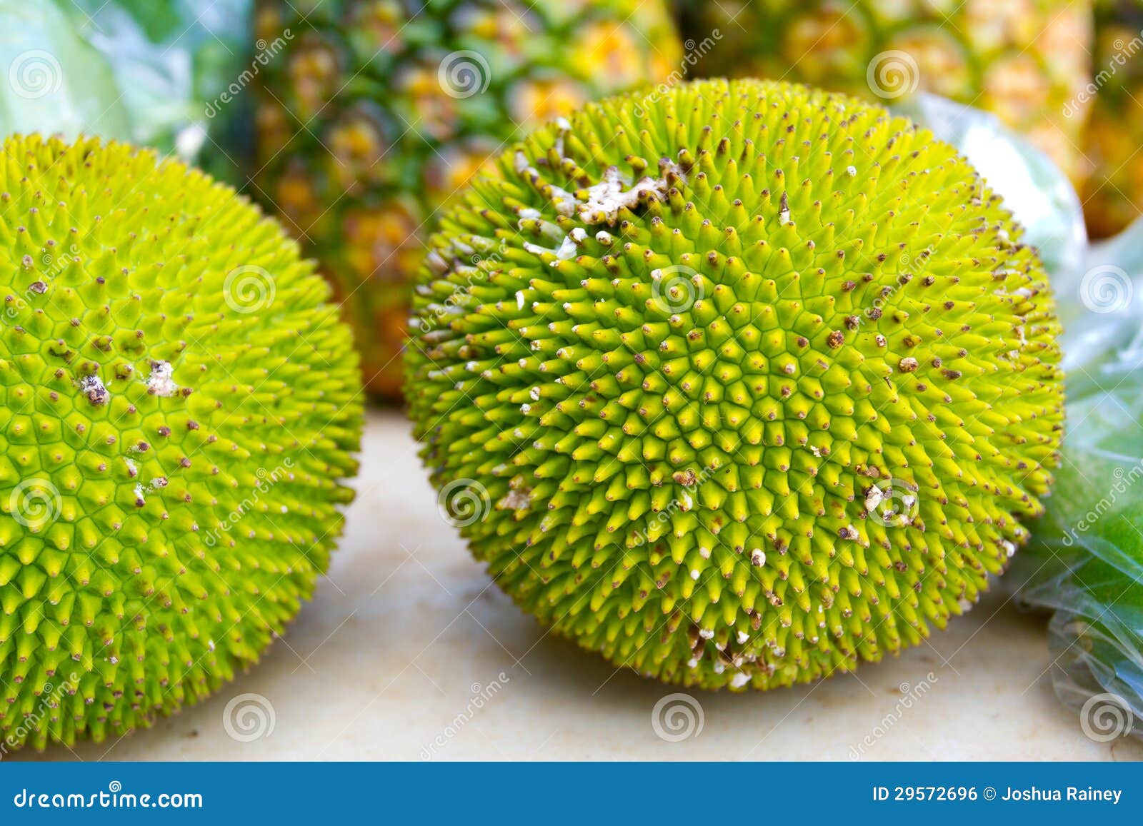 Jackfruit or Jakfruit or Breadfruit Stock Photo - Image of market ...