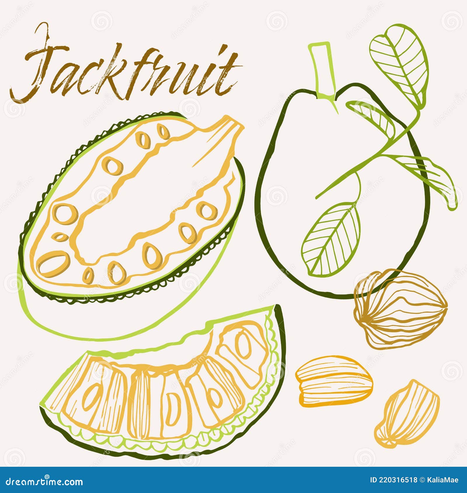 Line Art Jackfruit. Vector Illustration Stock Photo | CartoonDealer.com ...