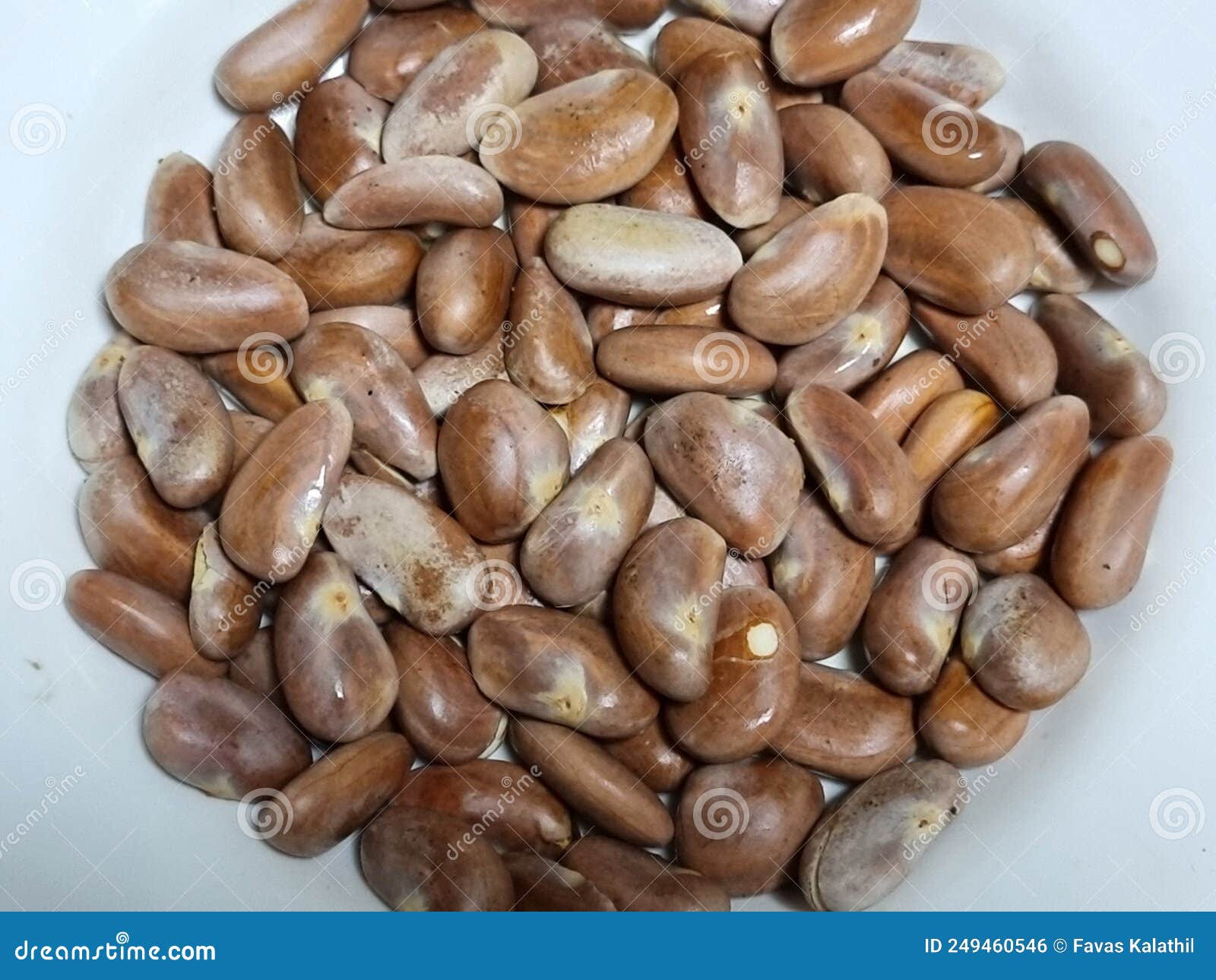 Jackfruit Seeds Background Image Stock Photo - Image of family ...