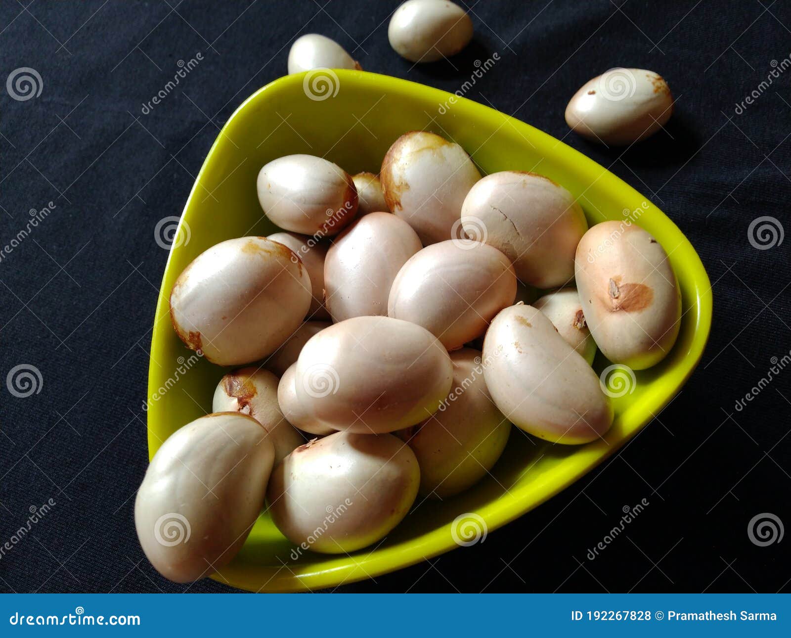 Jackfruit Seeds in a Black Background Stock Photo - Image of fresh ...