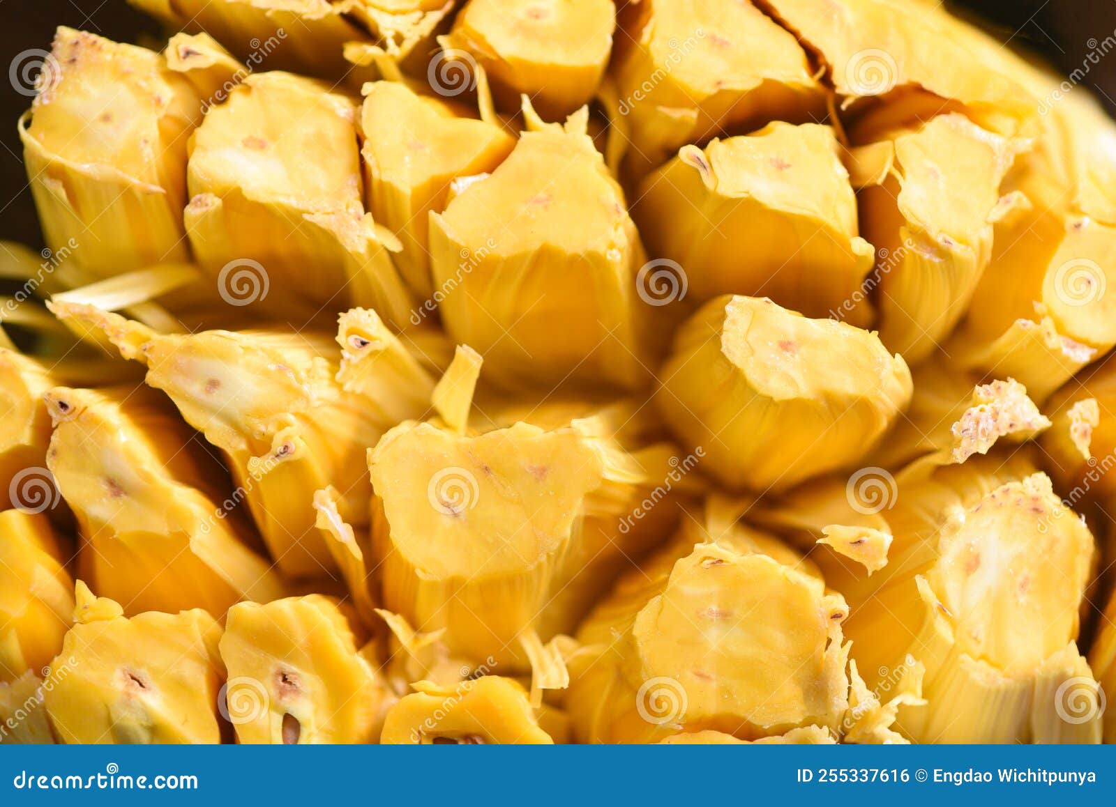 Jackfruit on Top View, Close Up Ripe Jackfruit Peeled Tropical Fruit ...