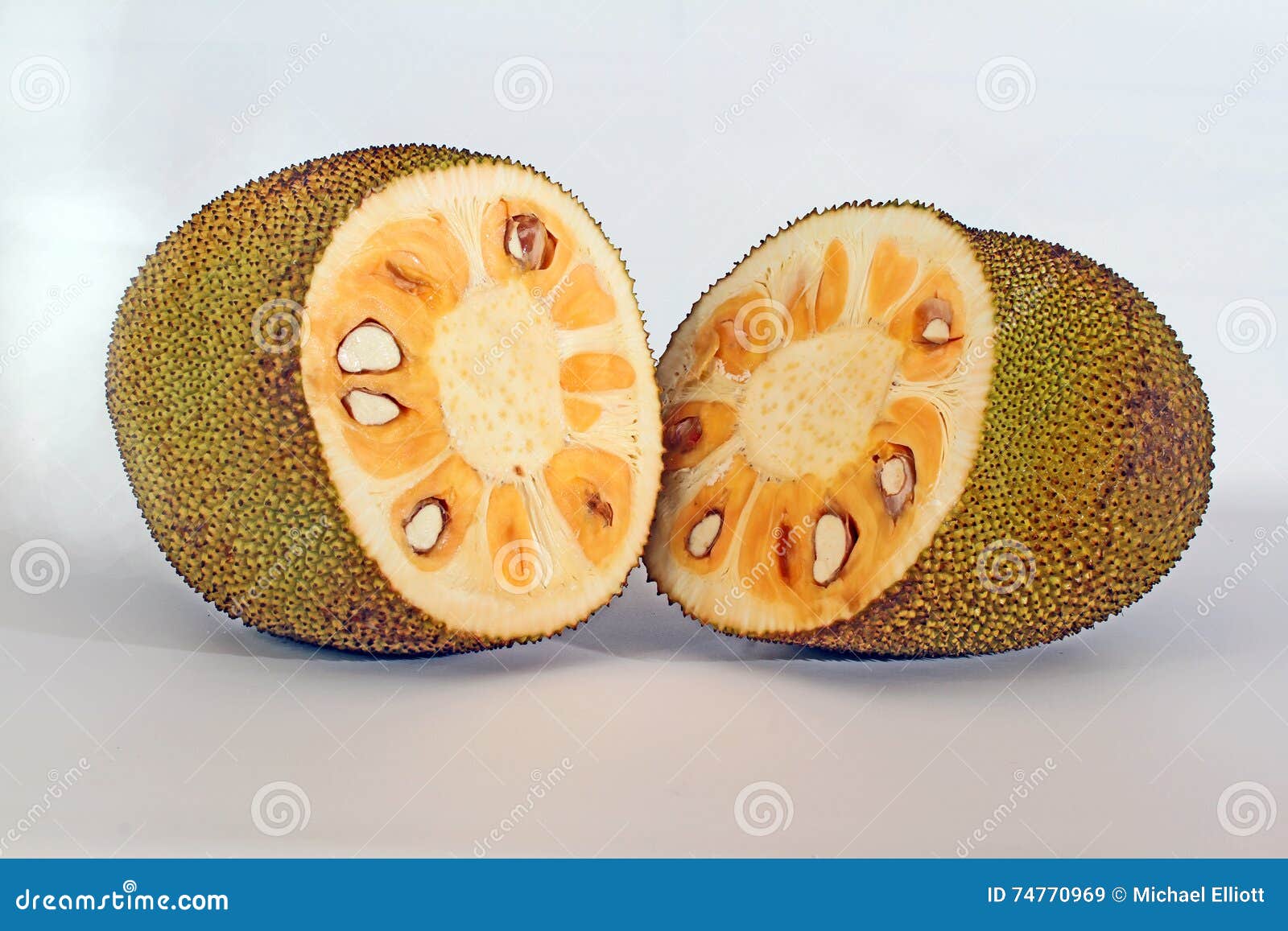 Jackfruit stock image. Image of malaysia, close, mulberry - 74770969