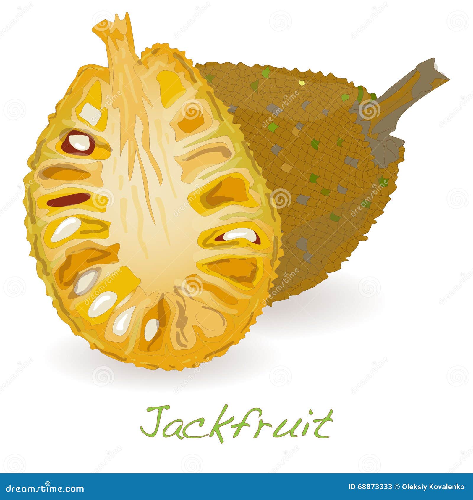 Jackfruit Texture And Seamless Stone Pattern Cartoon Vector ...