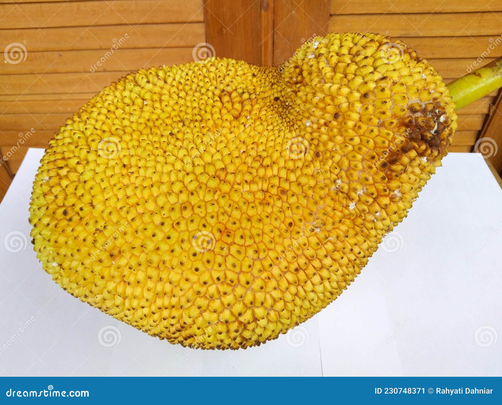 A Jackfruit stock image. Image of pattern, juicy, brown - 230748371