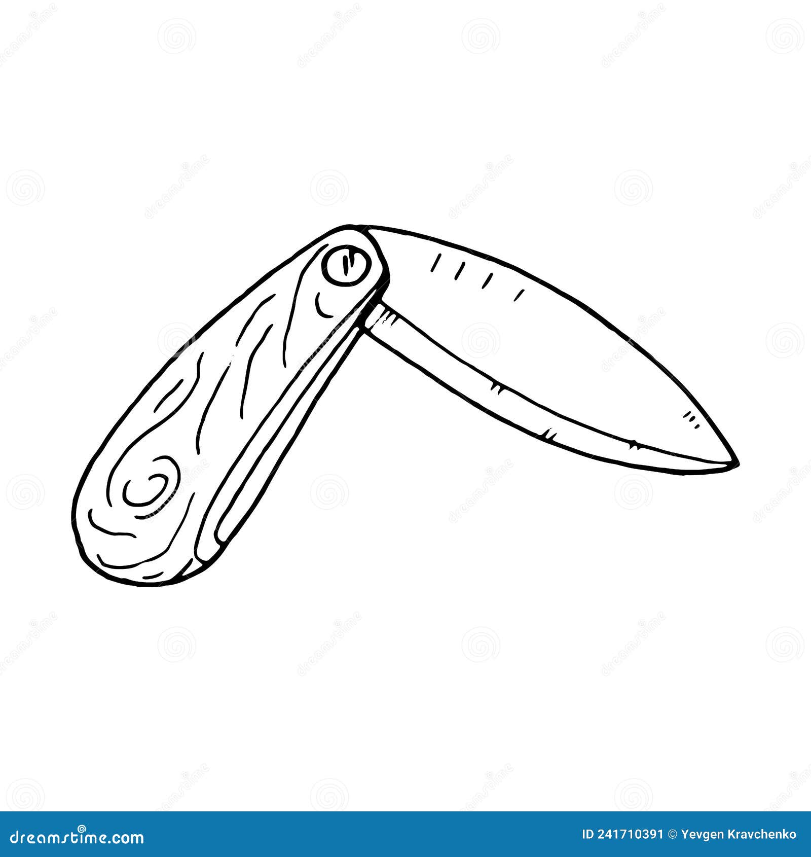 Jackknife Sketch. Vector Stock Illustration | CartoonDealer.com #145145107