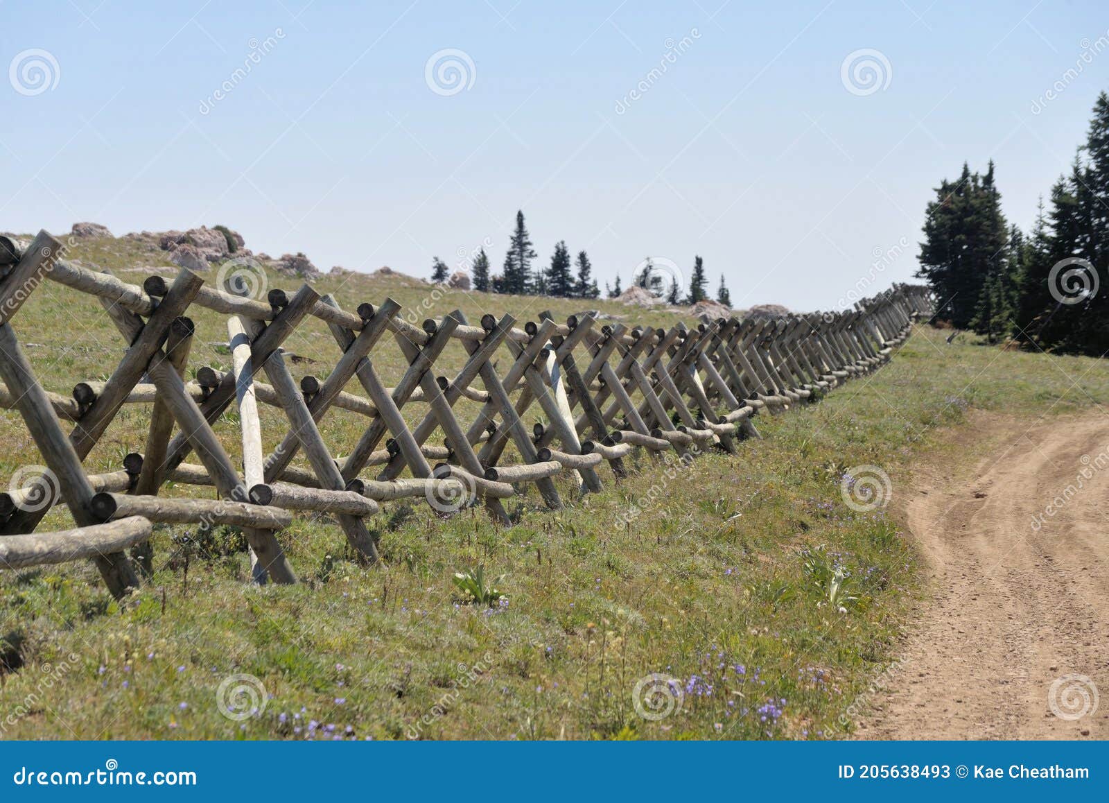 Jackleg Fence at Pryor Mountain Stock Image - Image of areas, western ...