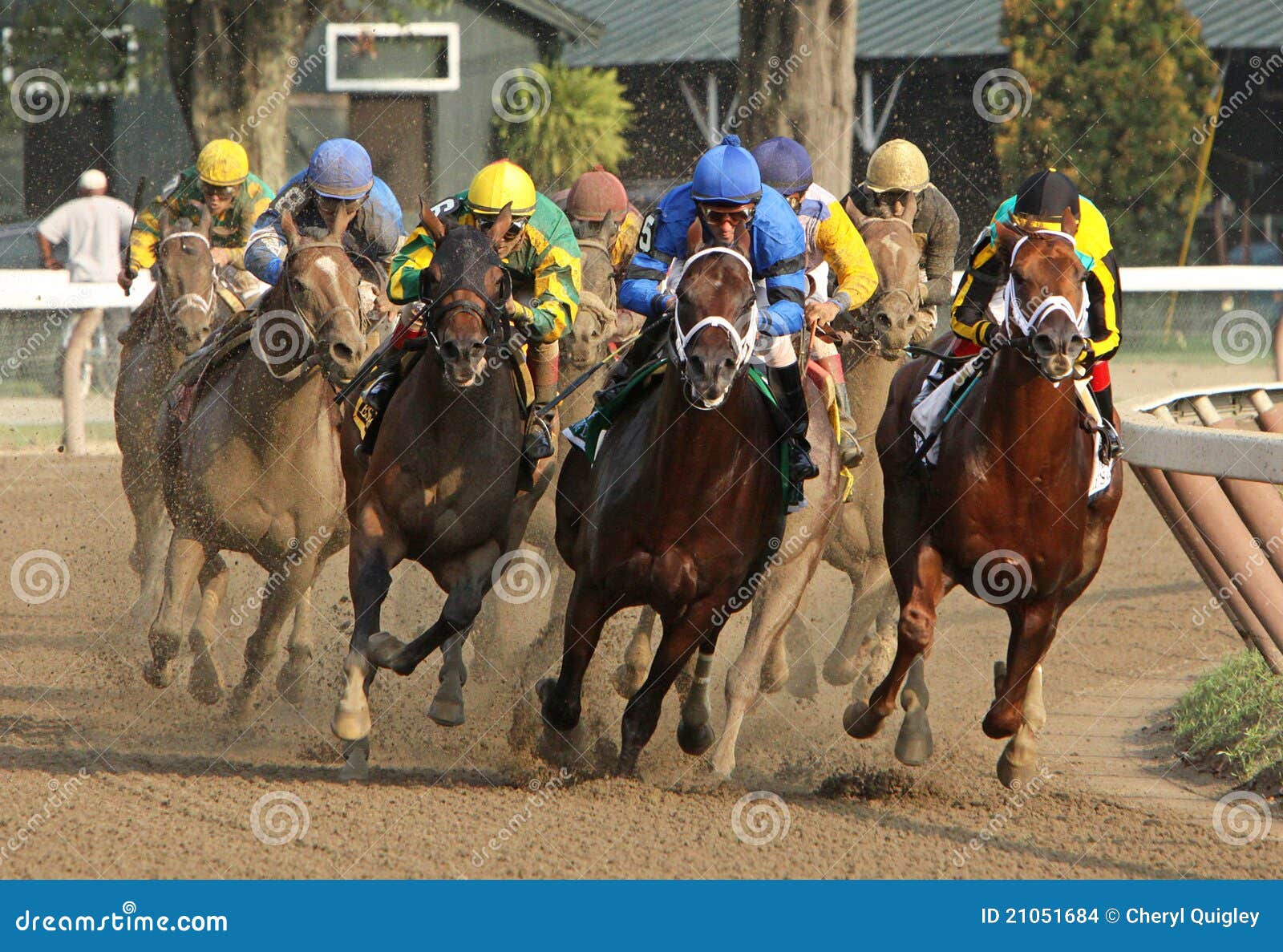 Jackson Bend Wins the Forego Stakes Editorial Stock Image - Image of ...