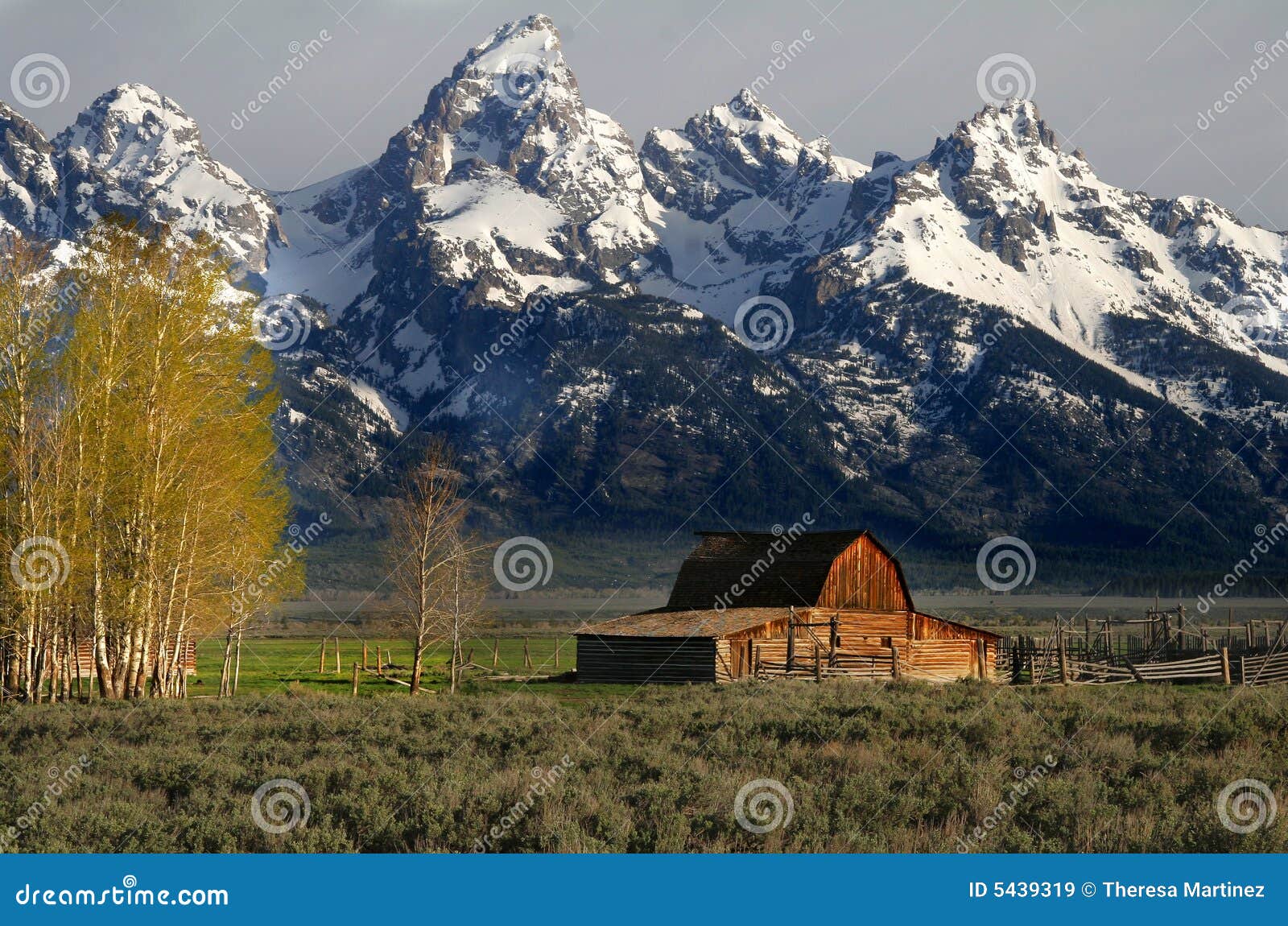 Jackson Hole Famous Barn stock image. Image of wyoming - 5439319
