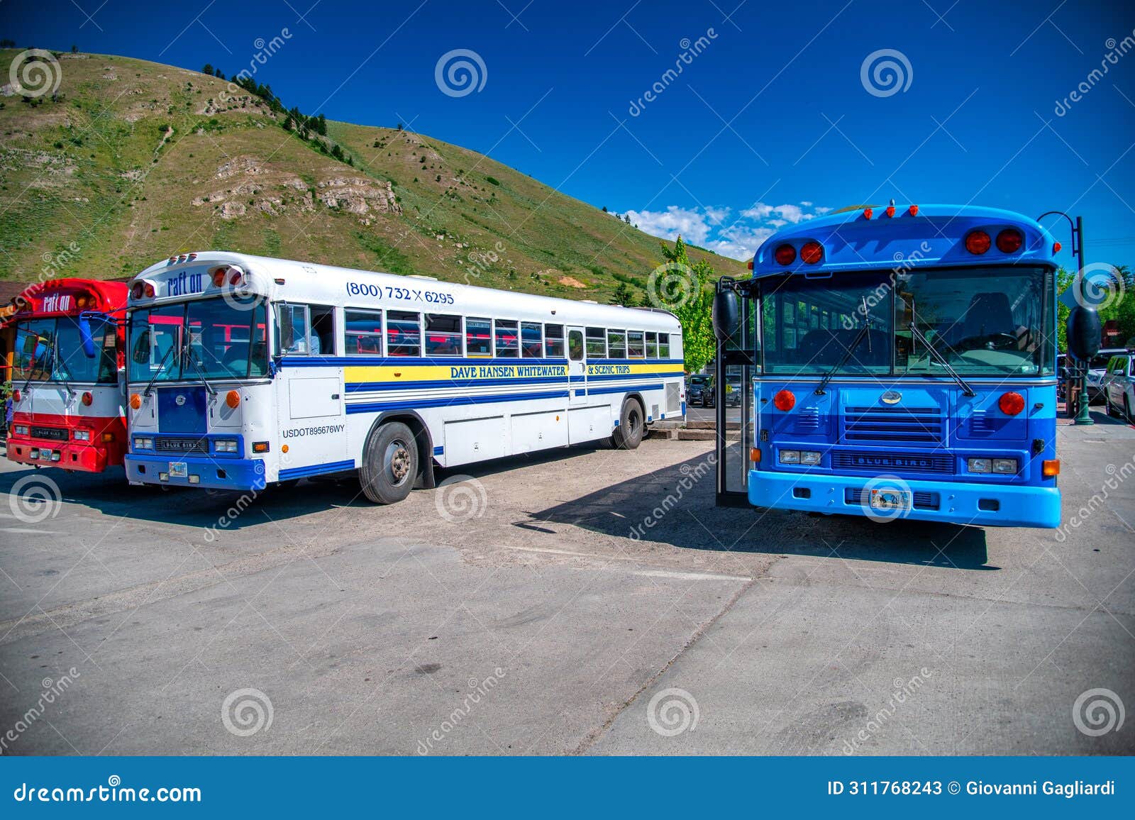 Jackson Hole, WY - July 11, 2019: Public Buses at the Parking Editorial ...