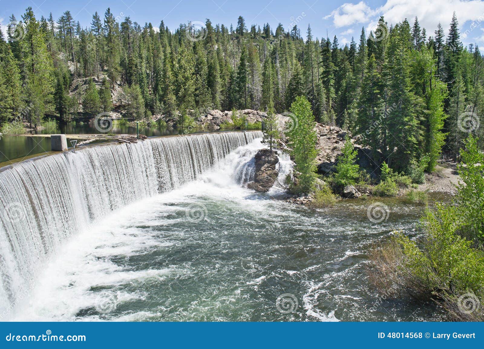 Jackson Meadow Reservoir Dam Foto de Stock - Imagem de floresta, escala ...