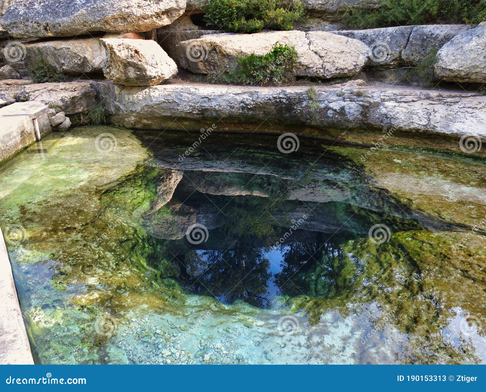 576 Artesian Spring Stock Photos - Free & Royalty-Free Stock Photos ...